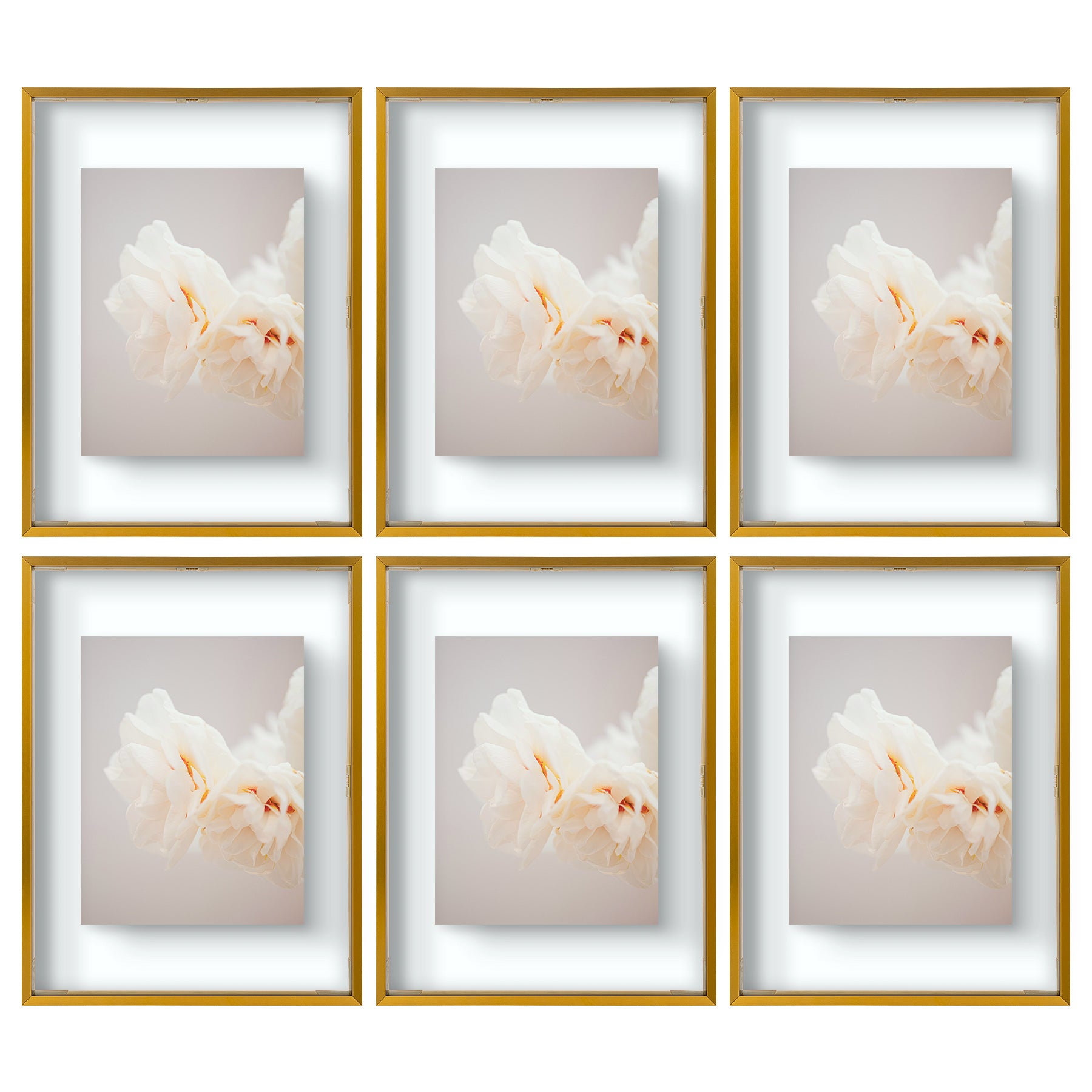 Mat Board Center,12x16 Floating Picture Frame with Glass and Aluminum ...