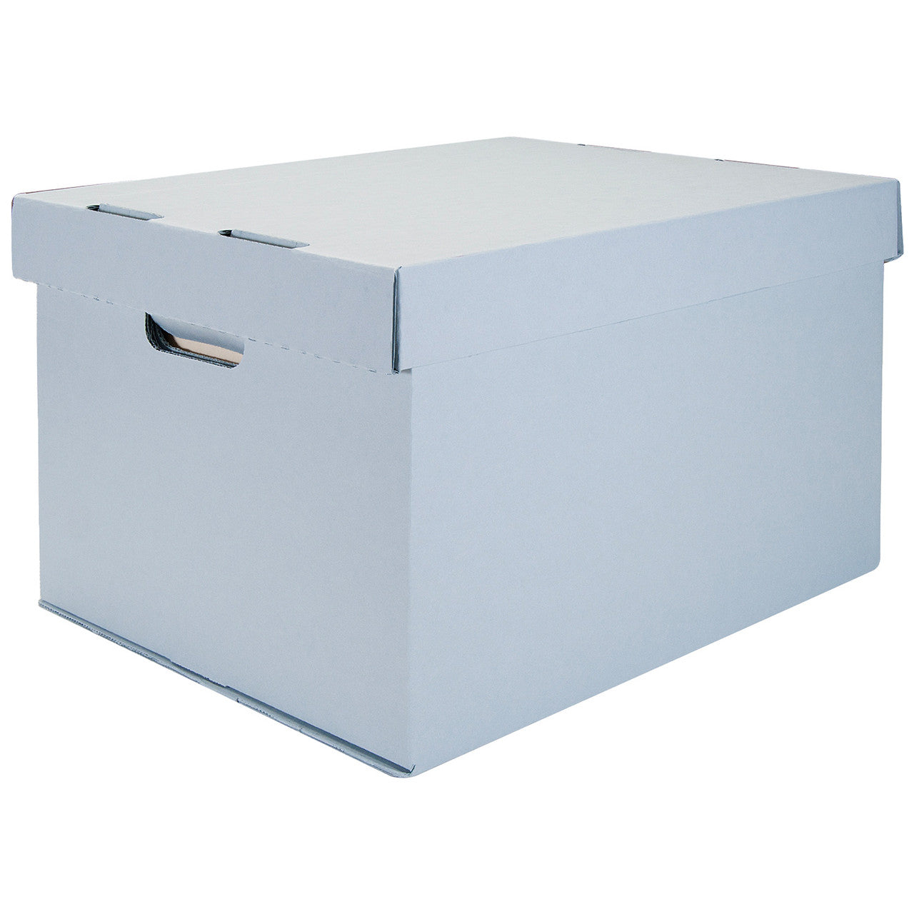 Lineco, Archival Record Storage Carton, Portable Acid Free File organi ...